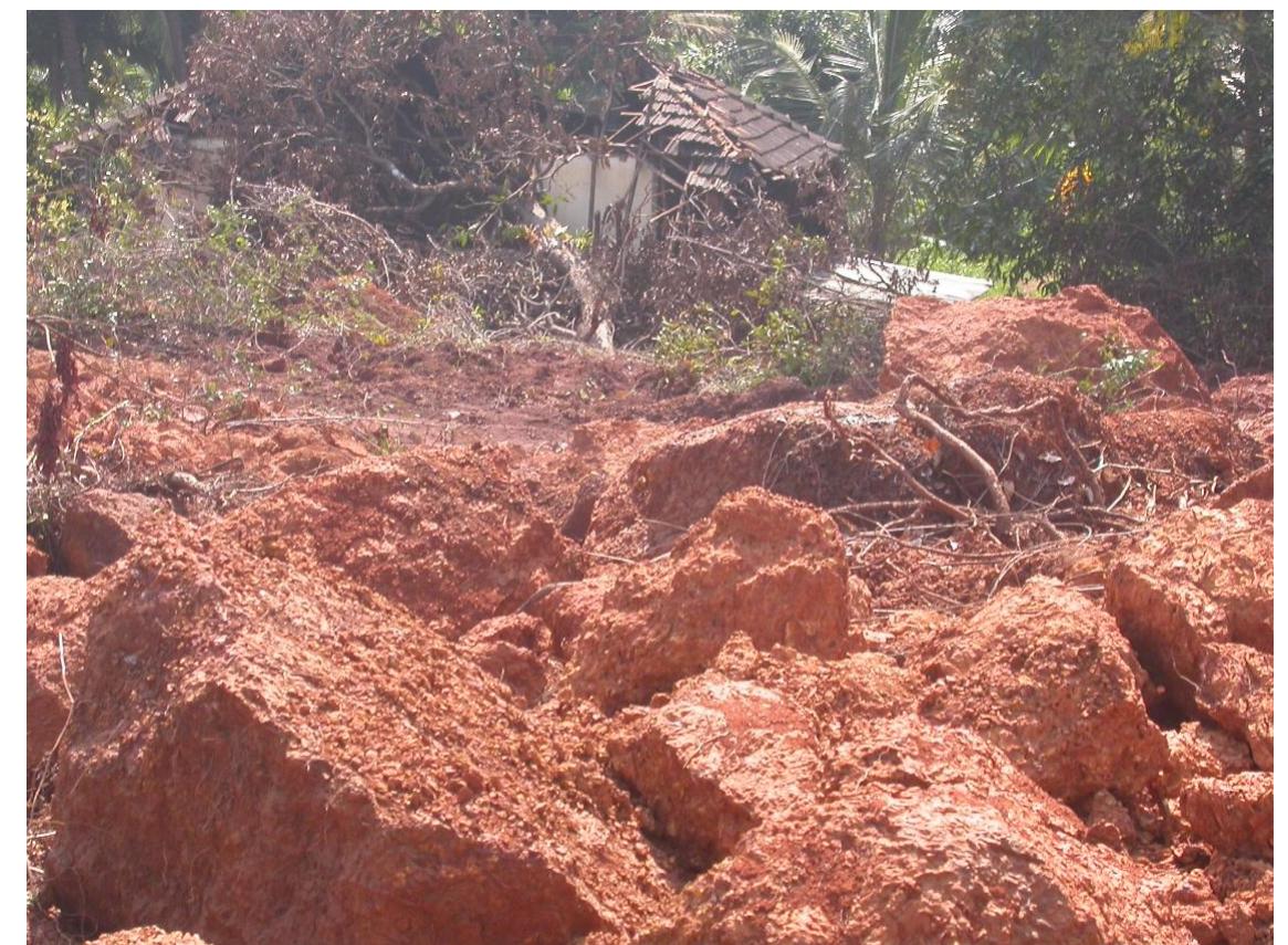 É6: 6: incompletely formed laterite due to water logging in