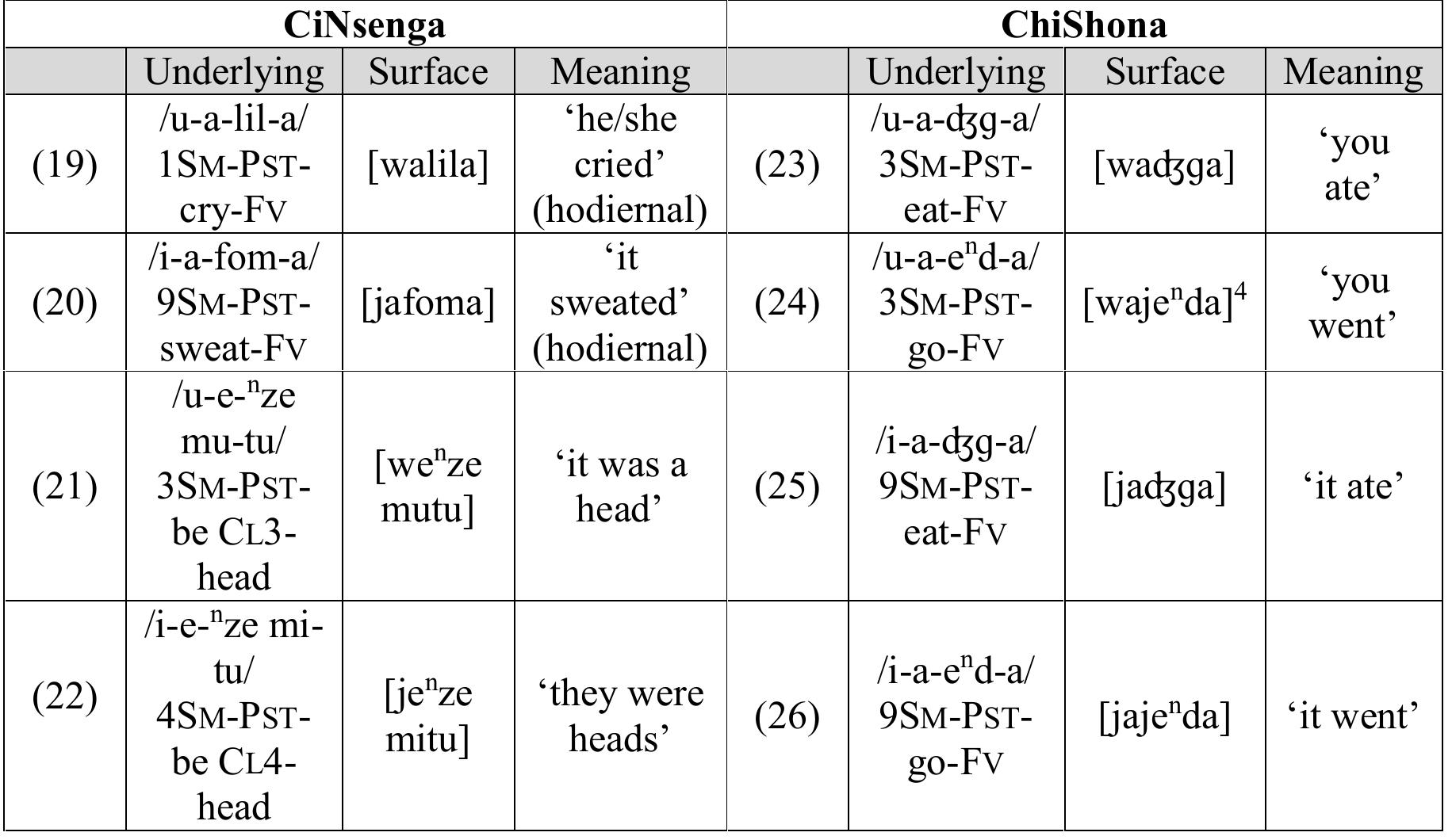 Glide formation in verbs what has been shown here is that