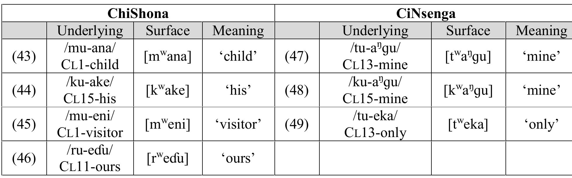 Secondary articulation in nouns and possessive pronouns