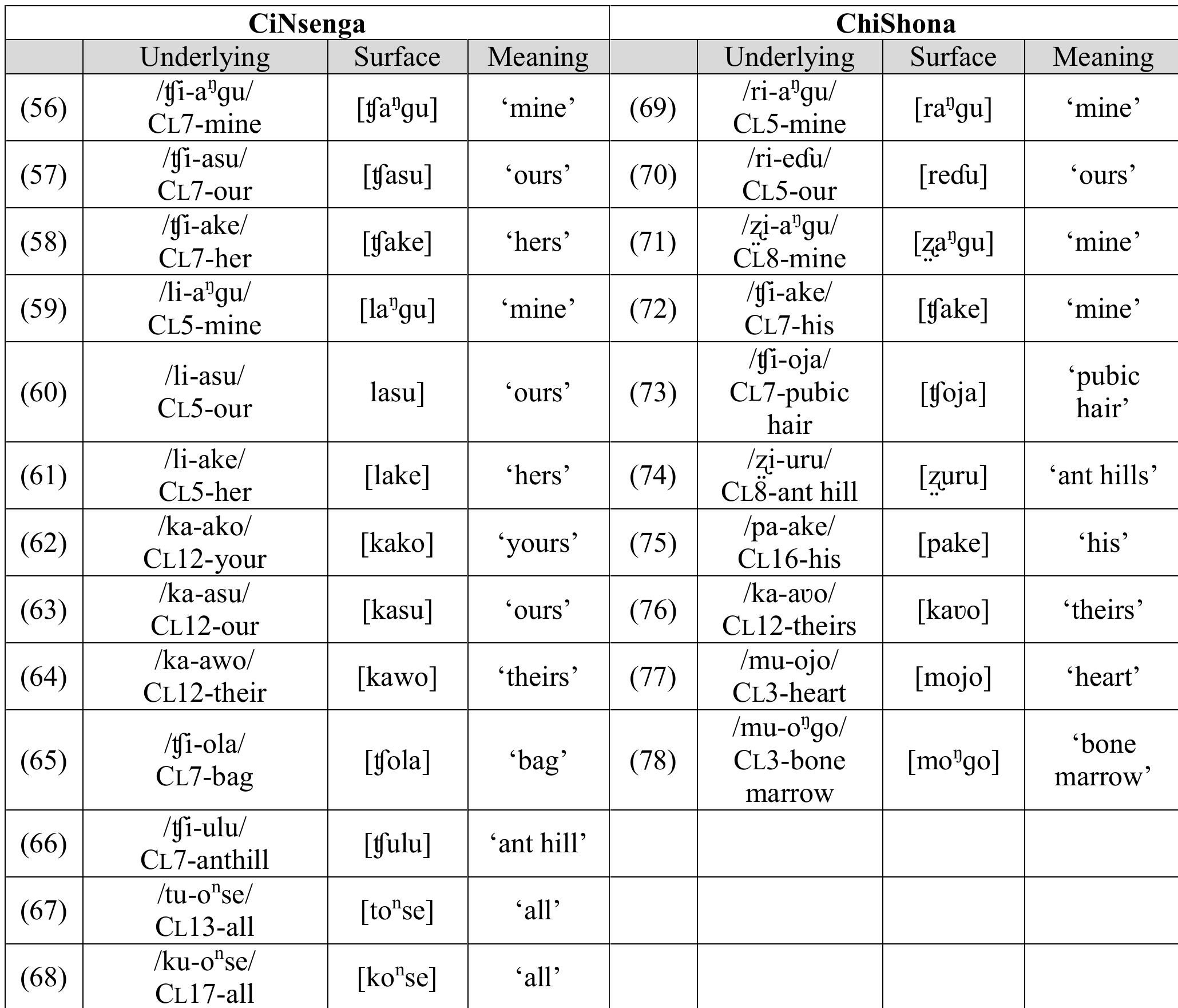 Vowel elision in nouns and possessive pronouns in the verbal