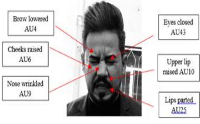 Facial expression related with pain