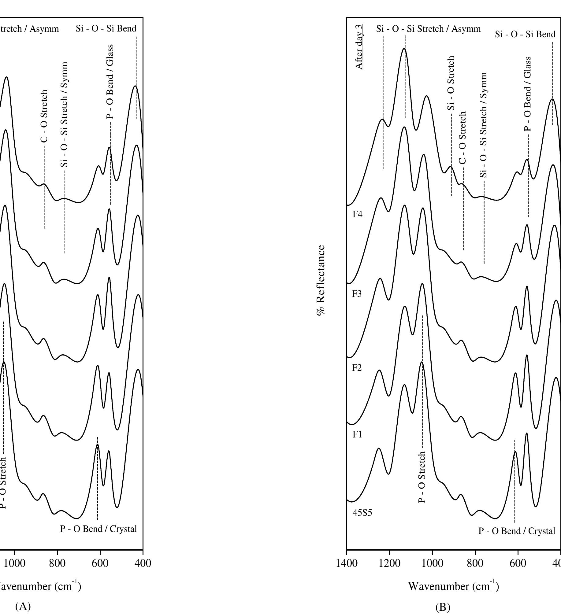 Ftir reflectance spectra of (a) bioactive glasses (b)