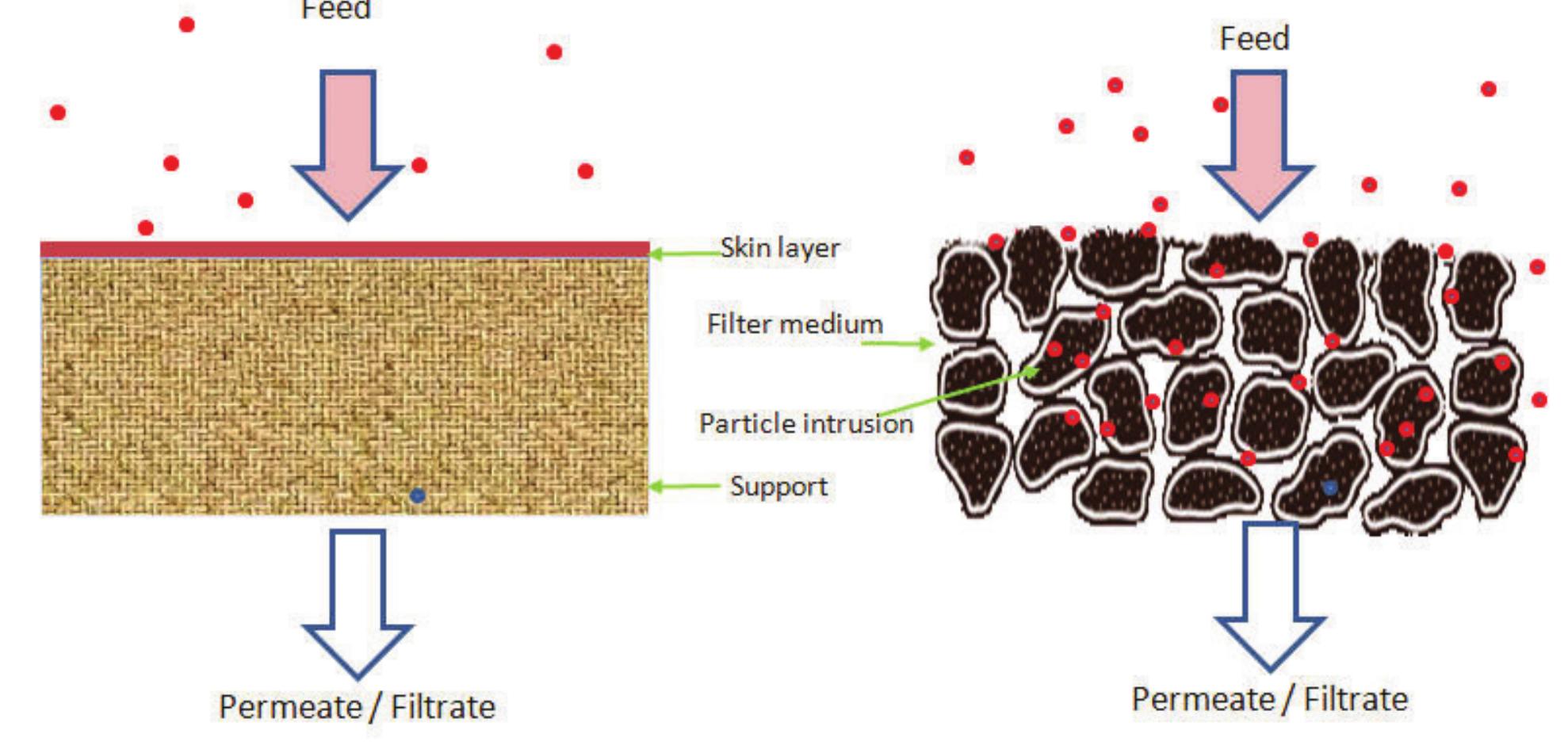 Schematic representation of surface filtration (on the left