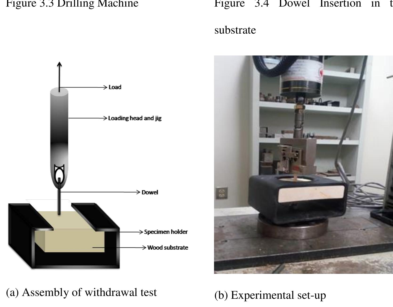 5 diagram of withdrawal resistance test
