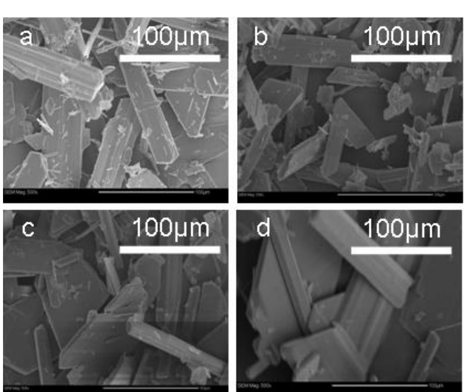 Sem images of gypsum crystals synthesized at 90 °c from