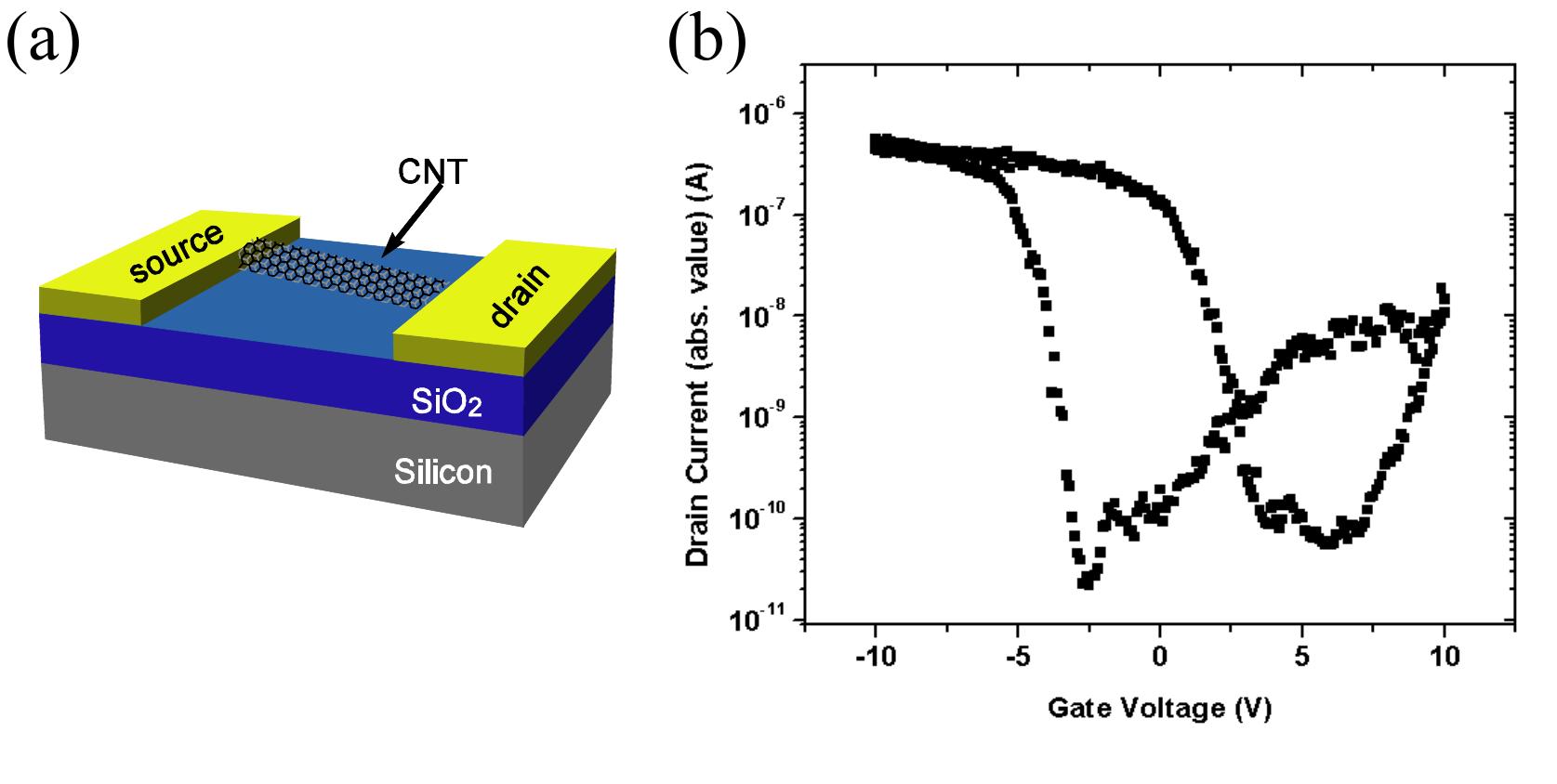 I-7. (a) a schematic illustration of a standard bottom-gated