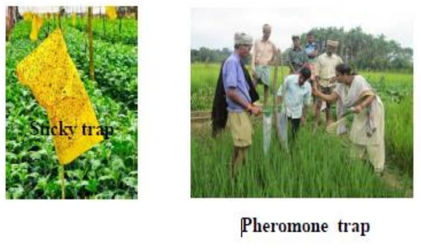 Figure 4 - Pest Survey, Surveillance, Forecasting, Sampling