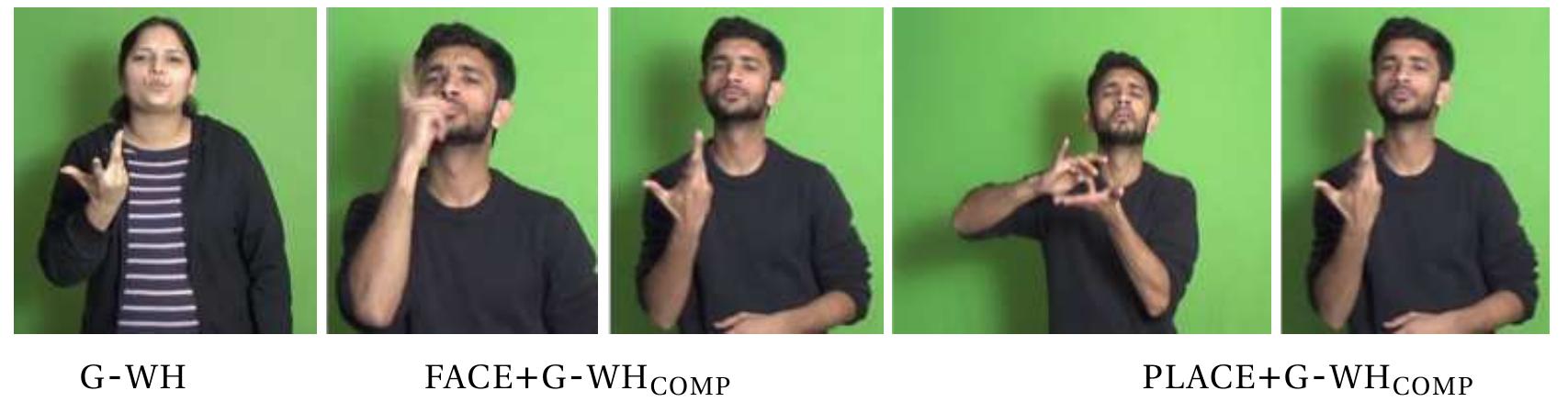 Figure 1 - Exploring wh-questions in Indian Sign Language