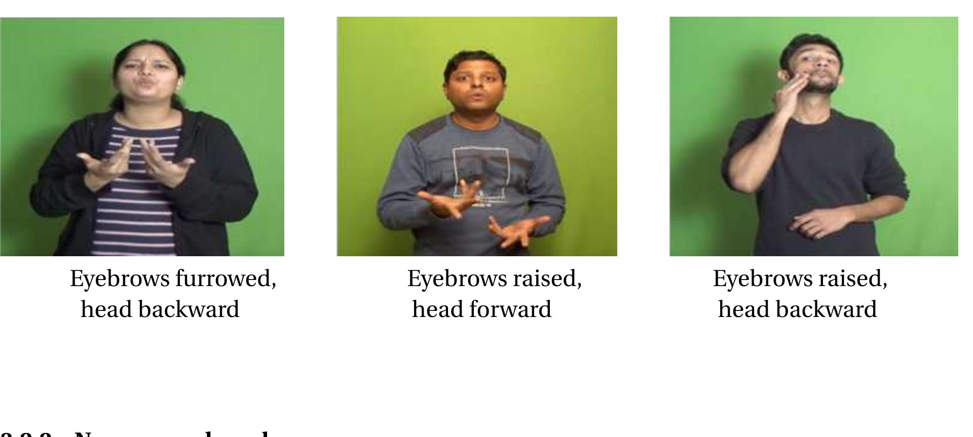 Figure 2 - Exploring wh-questions in Indian Sign Language