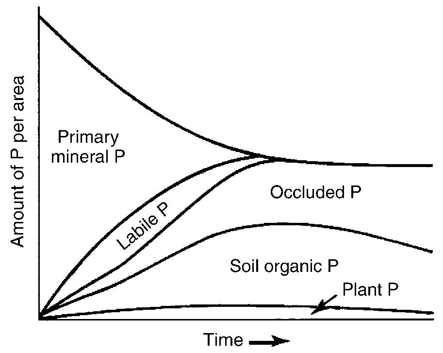 (PDF) Terrestrial phosphorus limitation: mechanisms, implications, and ...
