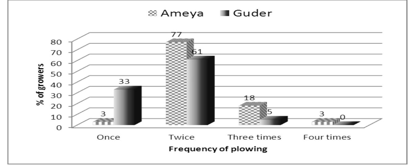 Frequency of plowing noug fields as illustrated in figure