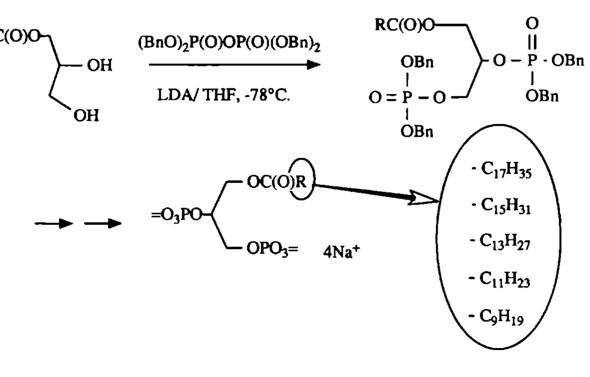 Figure 61 - The synthesis of organophosphorus amphiphiles