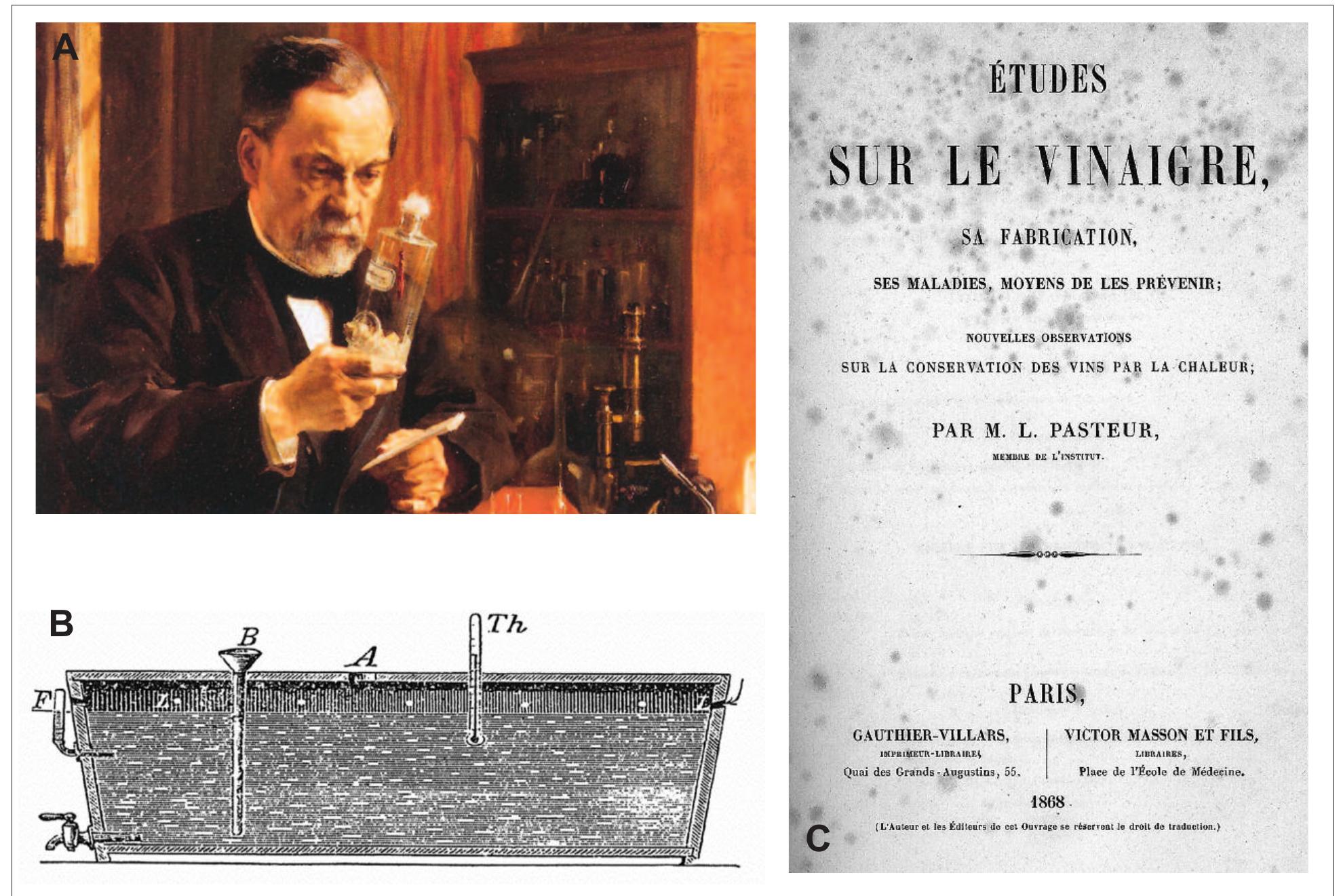 Fag. 4: famous microbiologist. a) louis pasteur (1822-1895)
