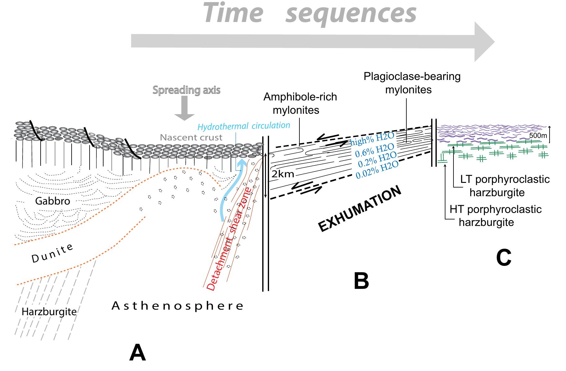 The moho transition zone as a detachment surface abut on