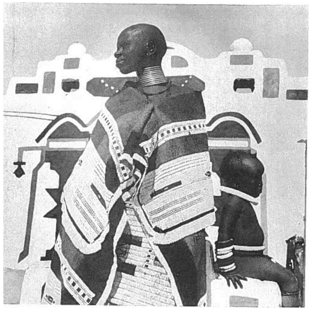 Figure 5 - Iconic bodies : Ndebele women in ritual context