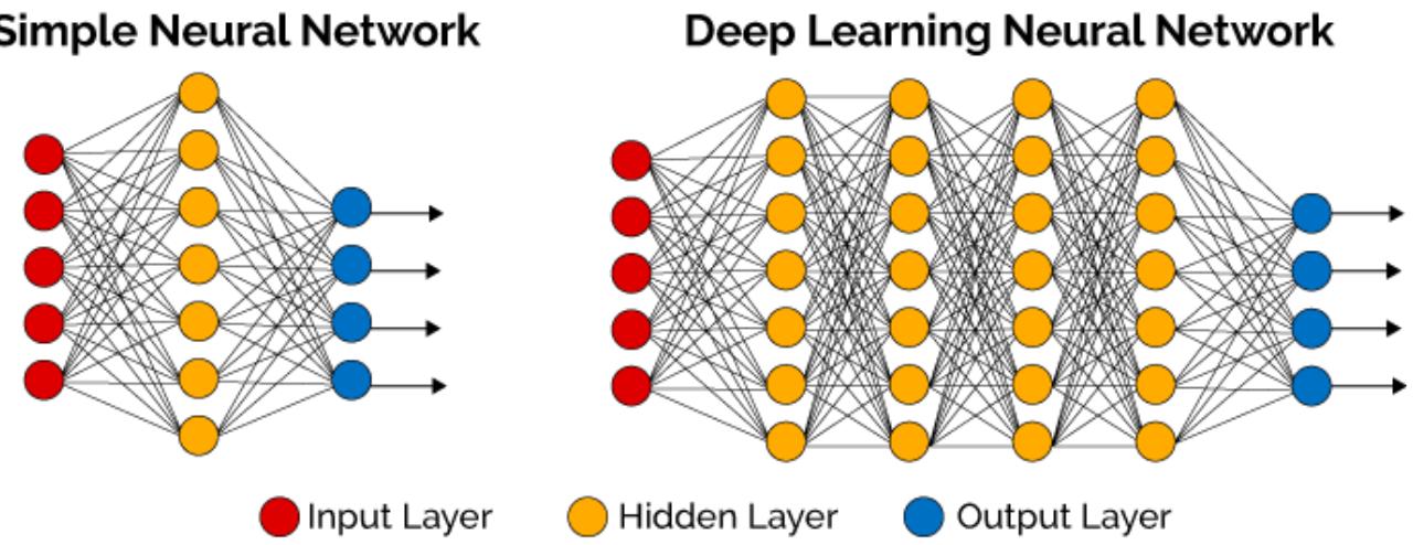 Examples of a single layer ‘shallow’ neural network (left)