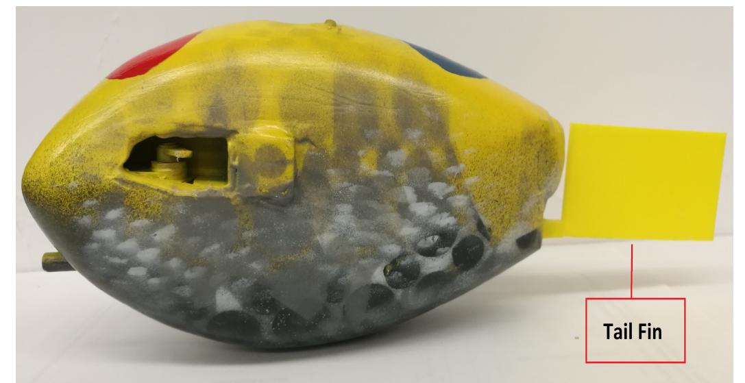 Tail-actuated robotic fish used in the experiments,