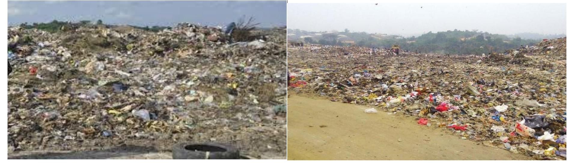 ‘igure 3 shows the waste dumpsite at palm street and at