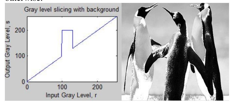 (a): grey level with background function 10(b): output image