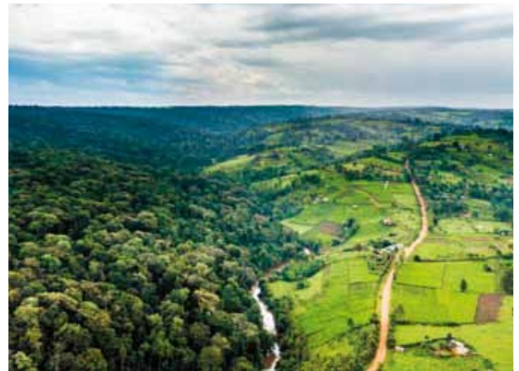 10 deforestation of the mau forest, kenya, to clear land for