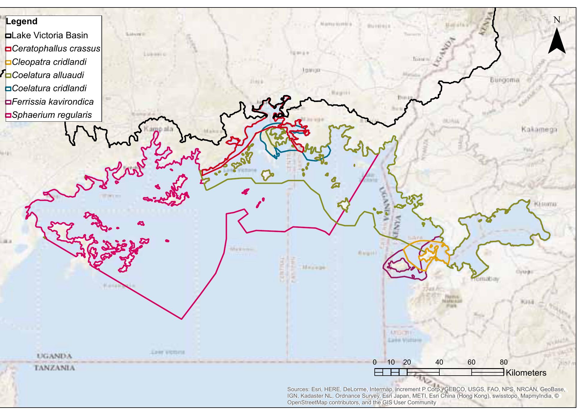 (PDF) Freshwater biodiversity in the Lake Victoria Basin
