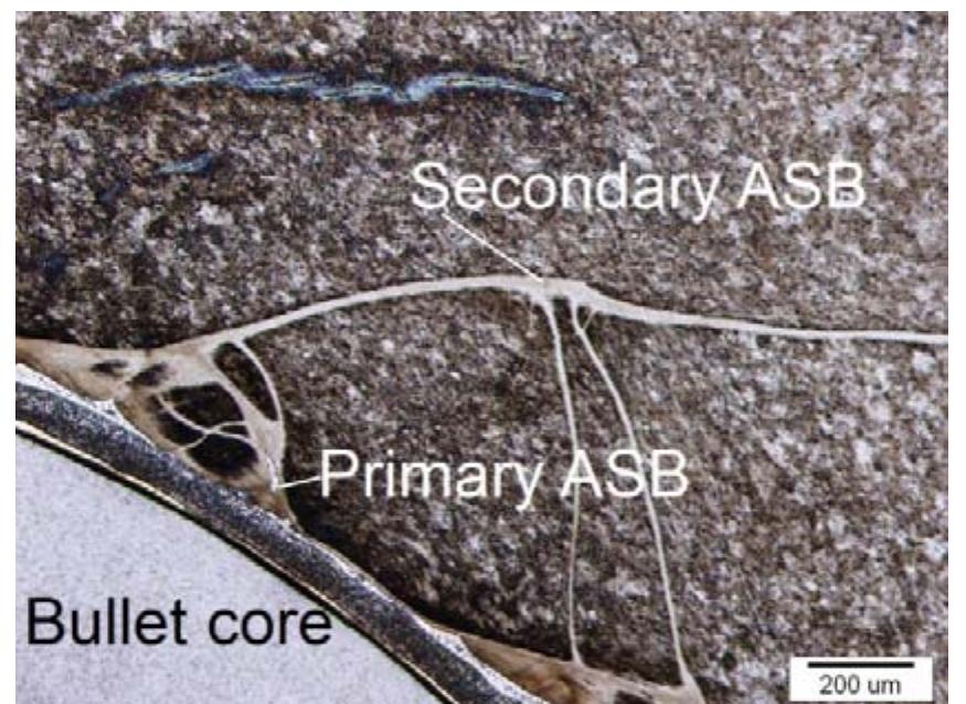 The microstructure of the cross-section of the target at the