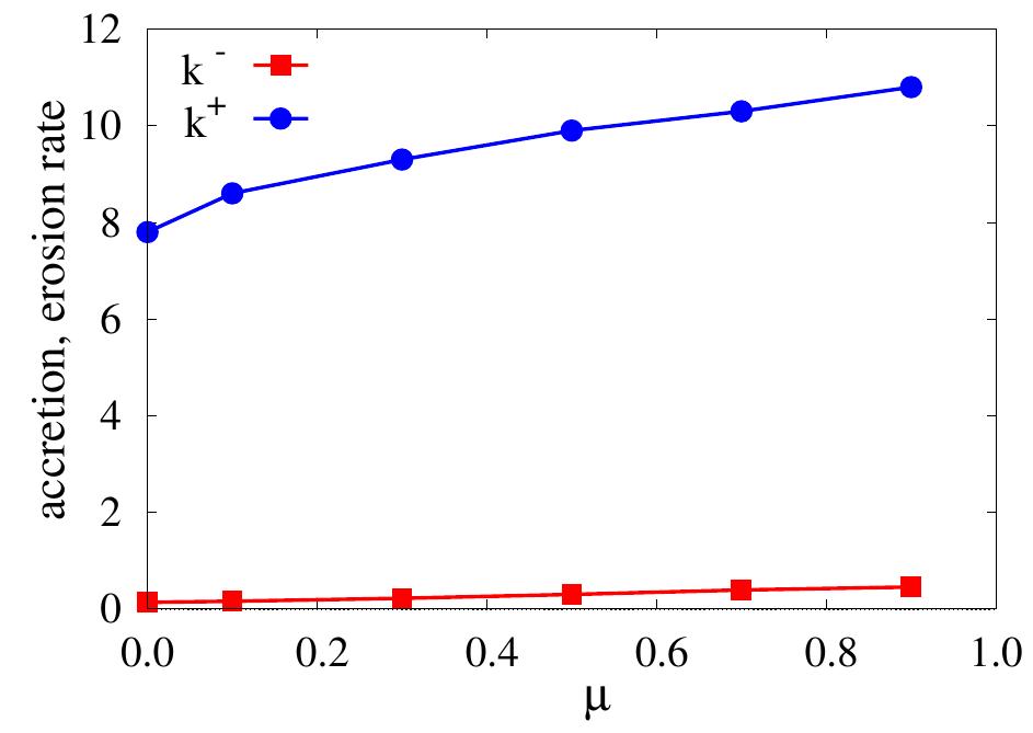 Fitted values of erosion rate k~ and accretion rate k* as a