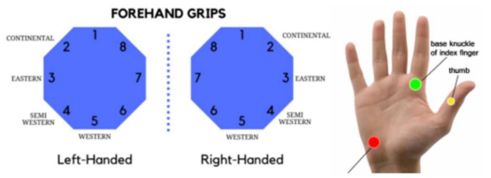 Forehand grip diagram - where base knuckle of index hand