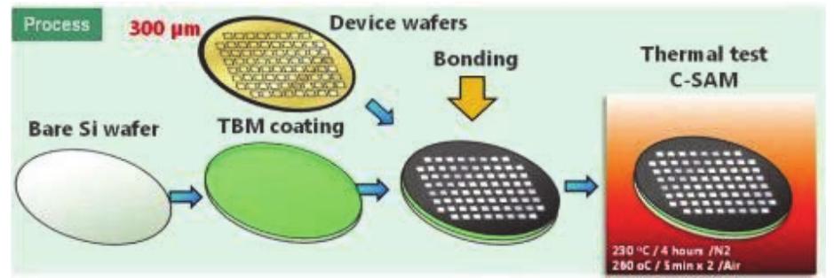 Si carrier coating, bonding and thermal resistance test. the