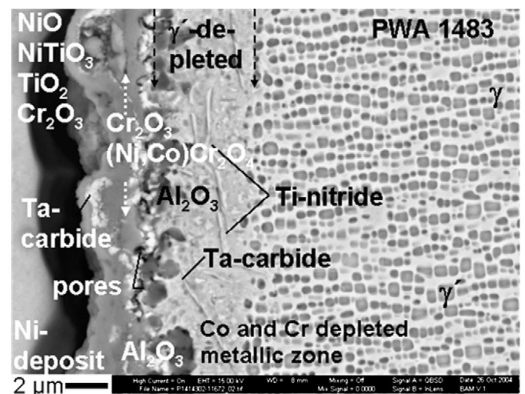 Etched Cross Section Morphology Of Scale Formed On The