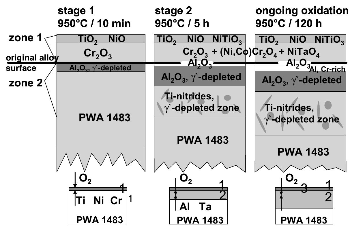 Schematic representation of the oxidation process of pwa