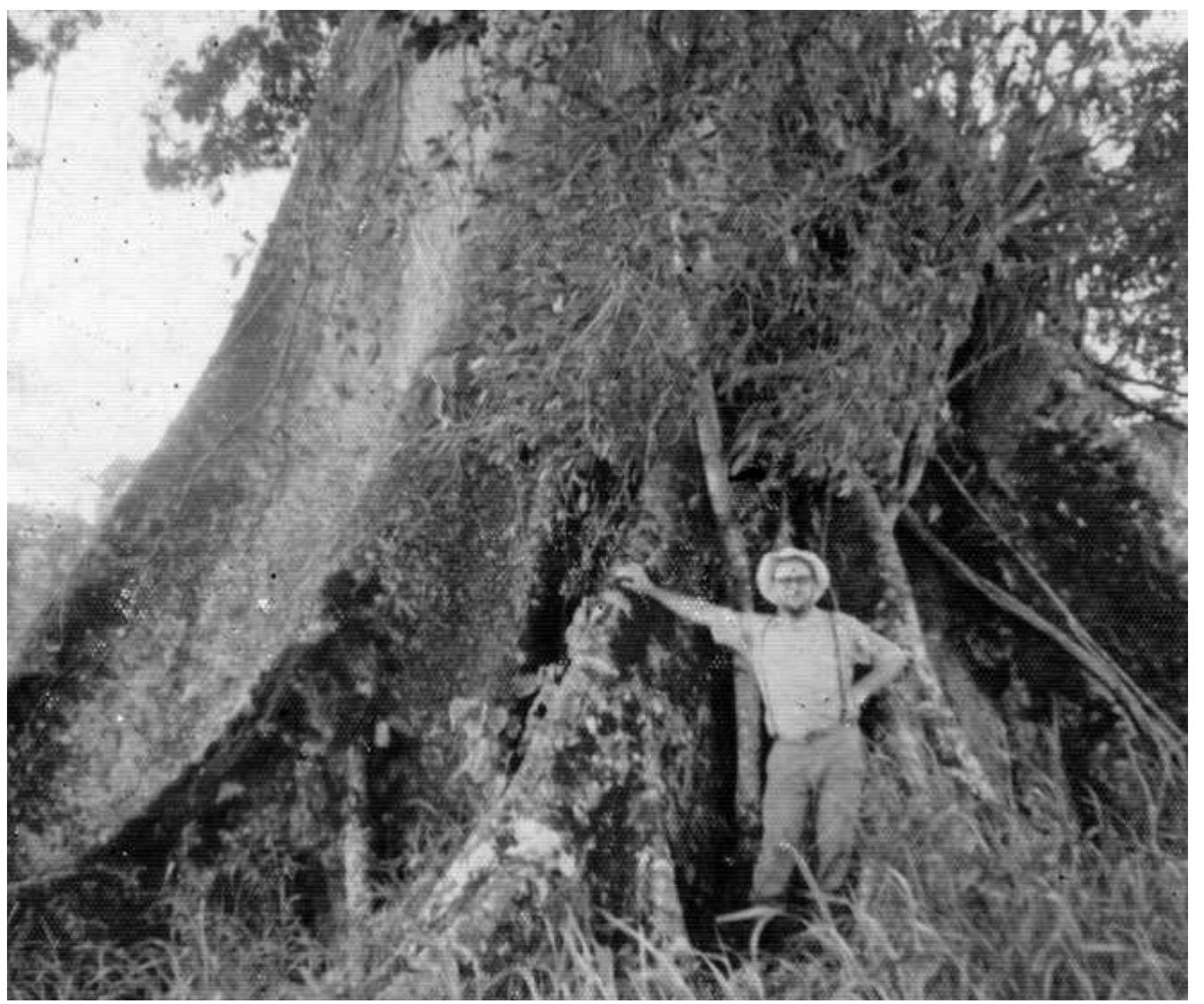 Figure 2 - from The 'Evangelization by Colonization'