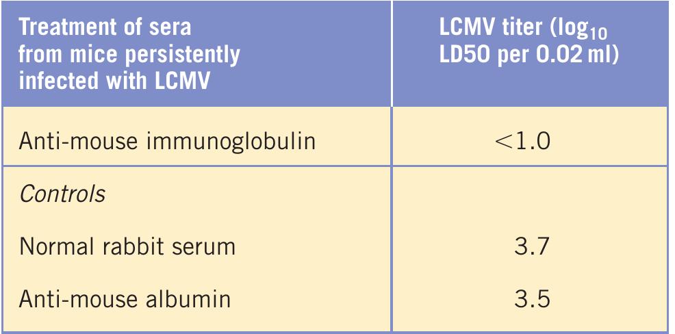 Dengue hemorrhagic fever/dengue shock syndrome (dhf/dss) is