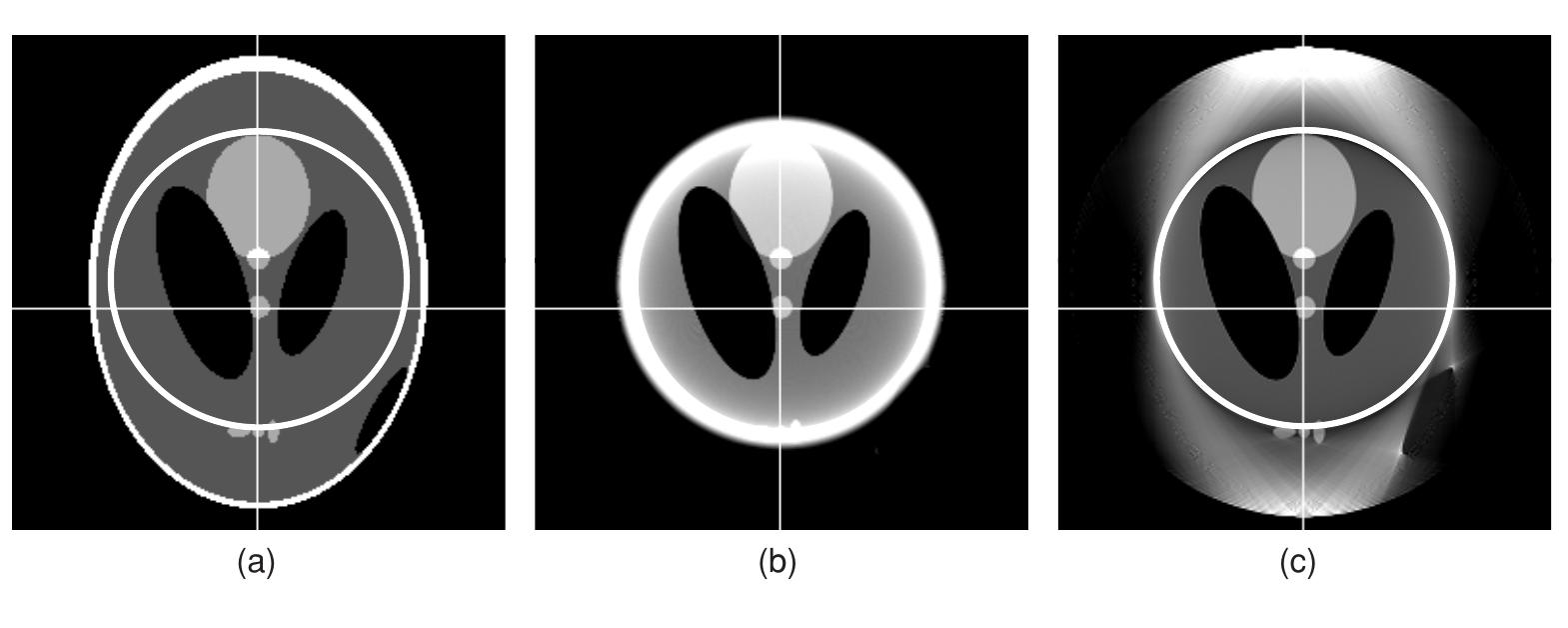 Compressed Sensing Based Interior Tomography