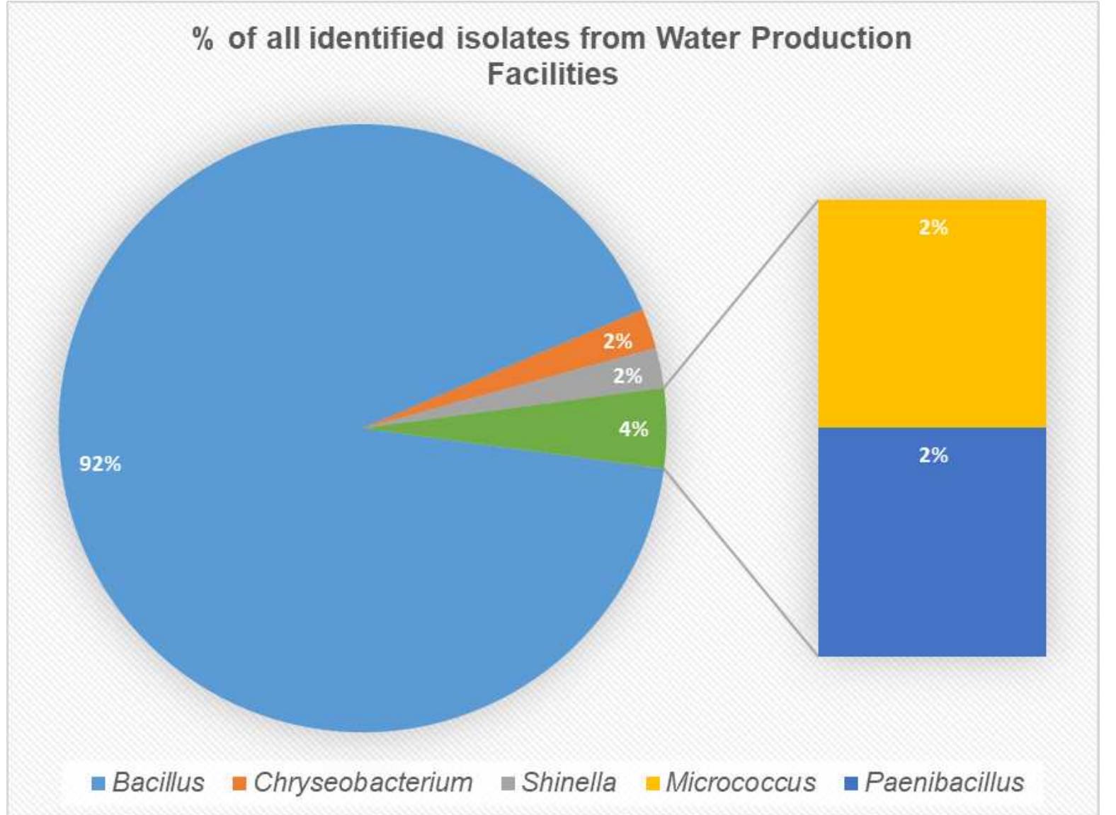 11: pie chart displaying bacterial species identified with