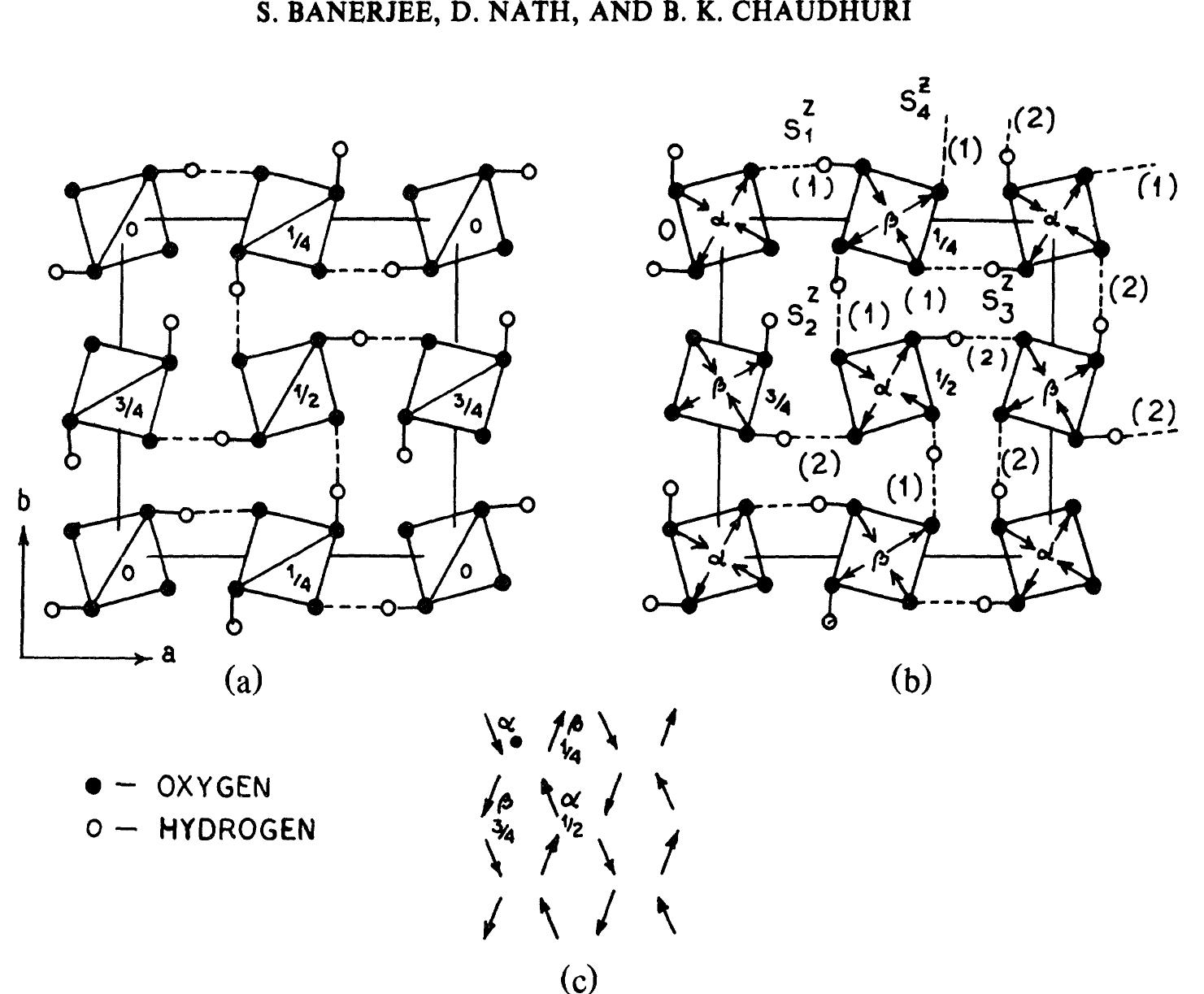 Positions of the h atoms in the ferroelectric phase of kdp