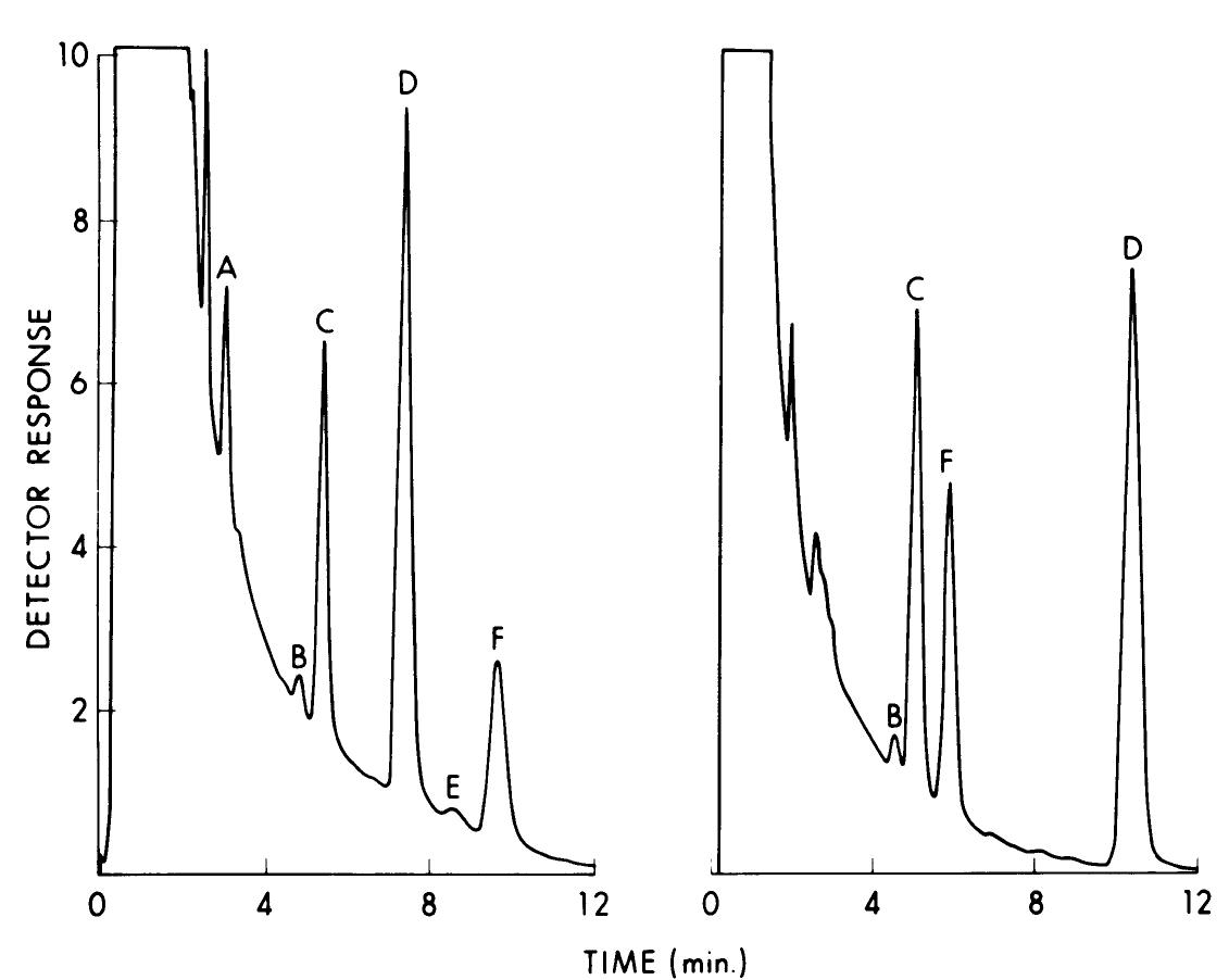 Gas-liquid chromatograms of sialic acid liberated by mild