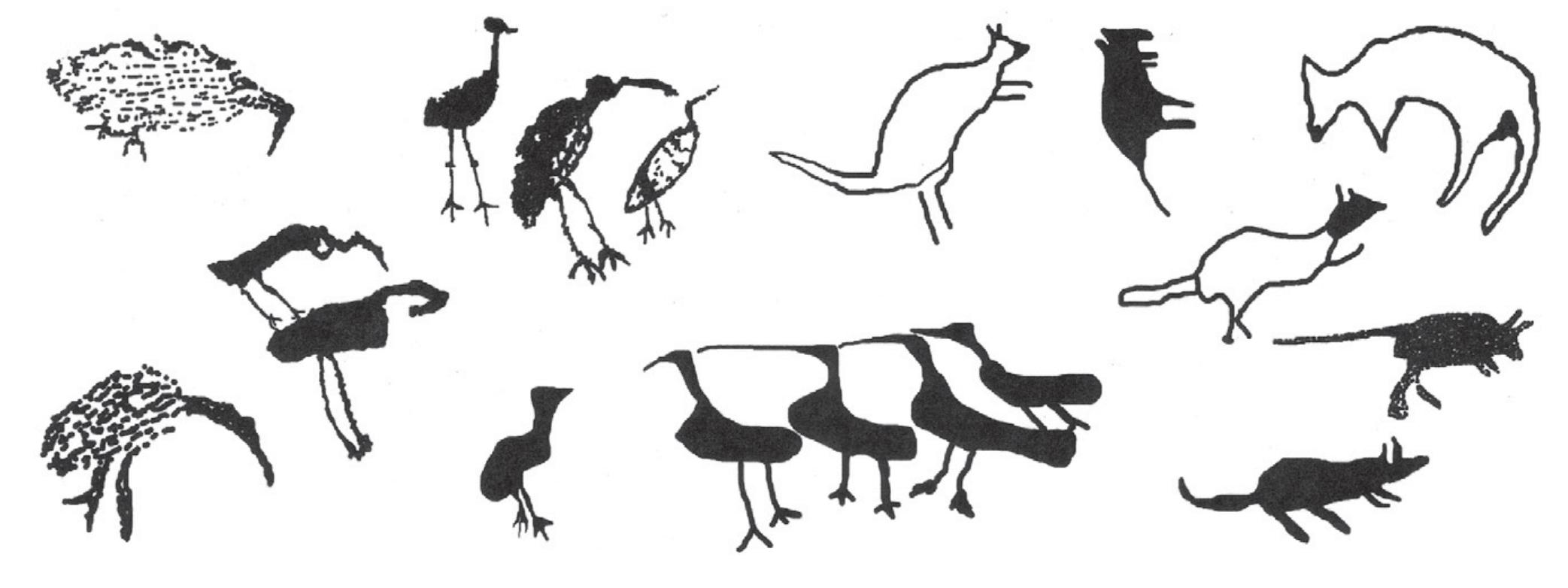 Line drawing examples of stylised forms of bird and macropod