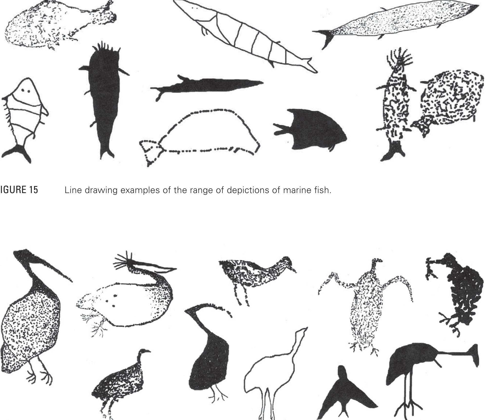 Line drawing examples of identifiable bird depictions of