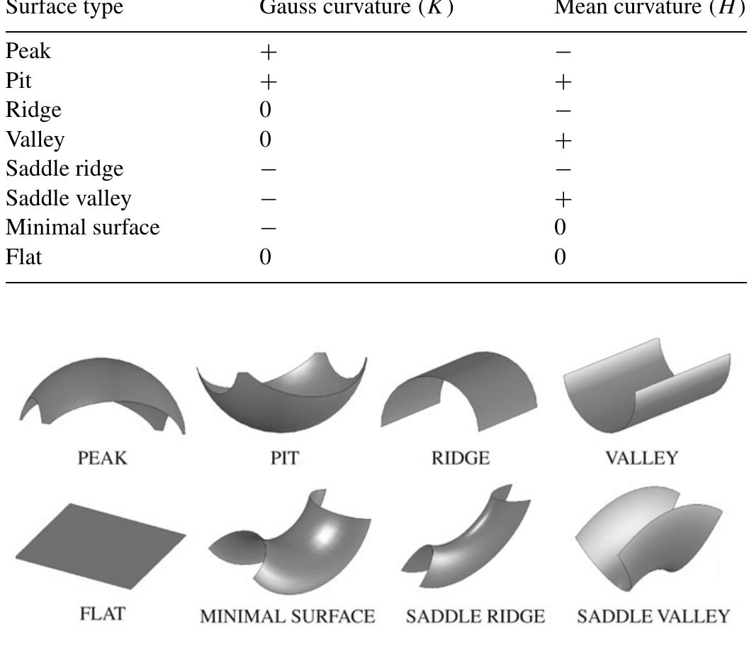 Eight fundamental surface shapes. surface types based on
