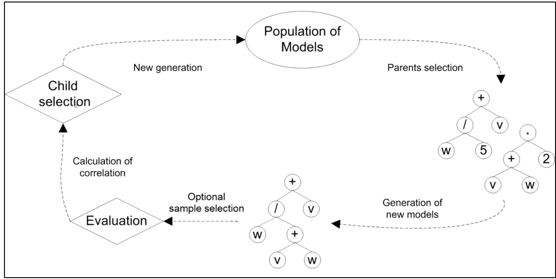 Schematic representation of the gp algorithm