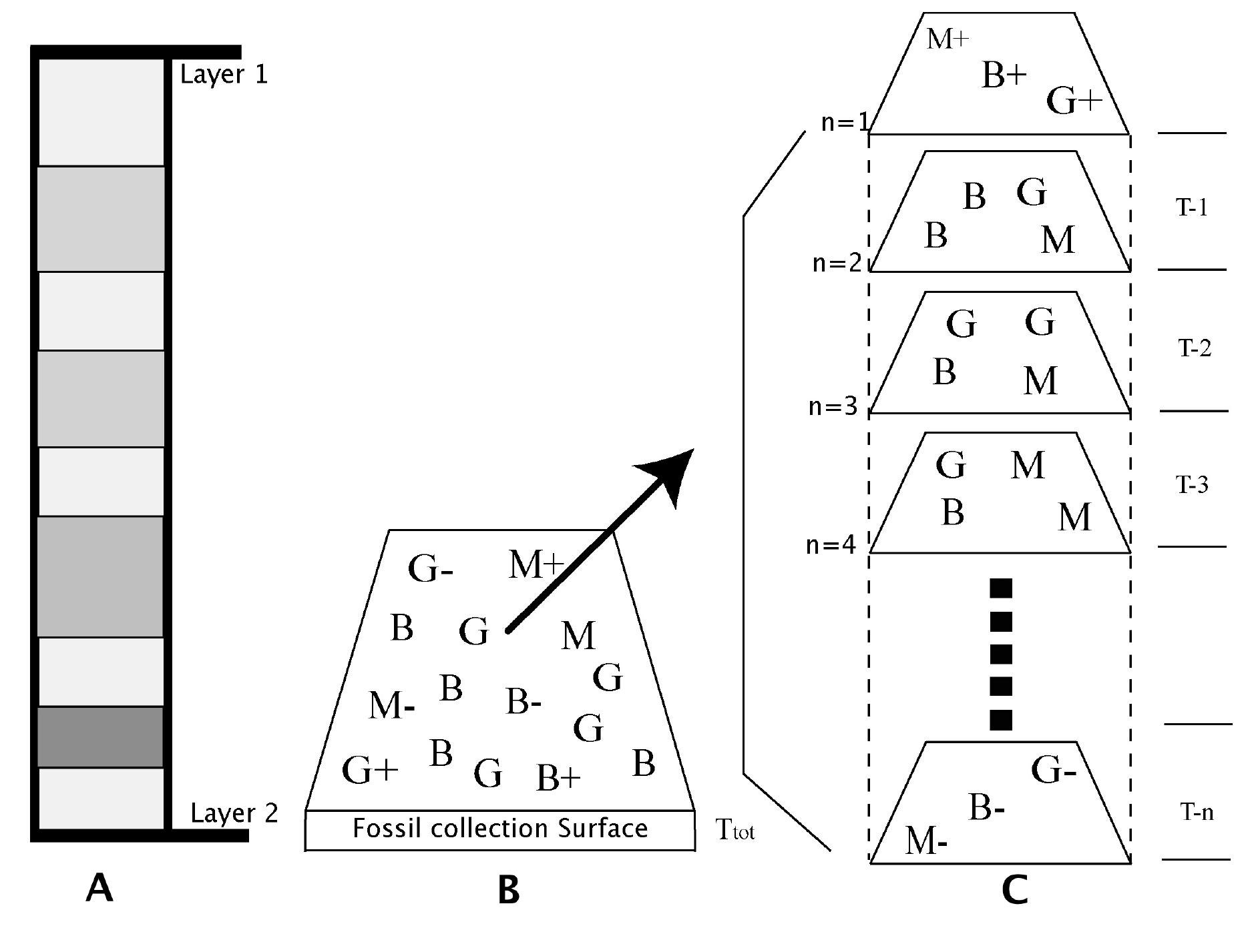 Ure 3.7 diagram showing a, stratigraphic column bracketed