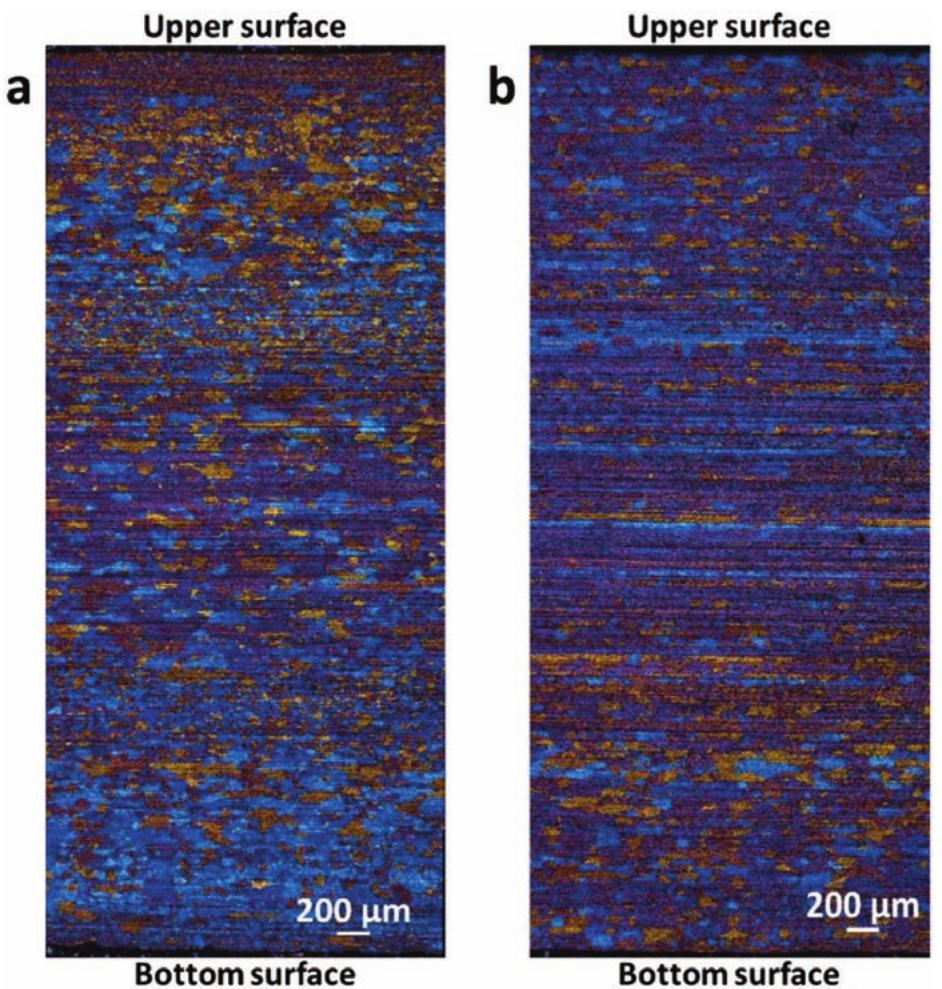 Lm microstructure of the cross-section of a hot-rolled