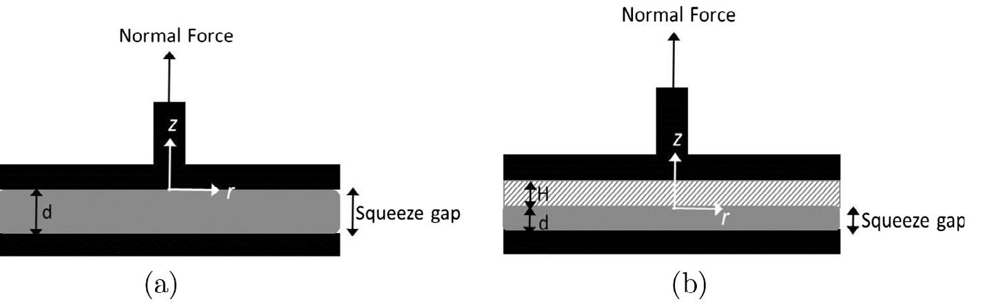 Schematic diagram of squeeze flow between (a) circular solid