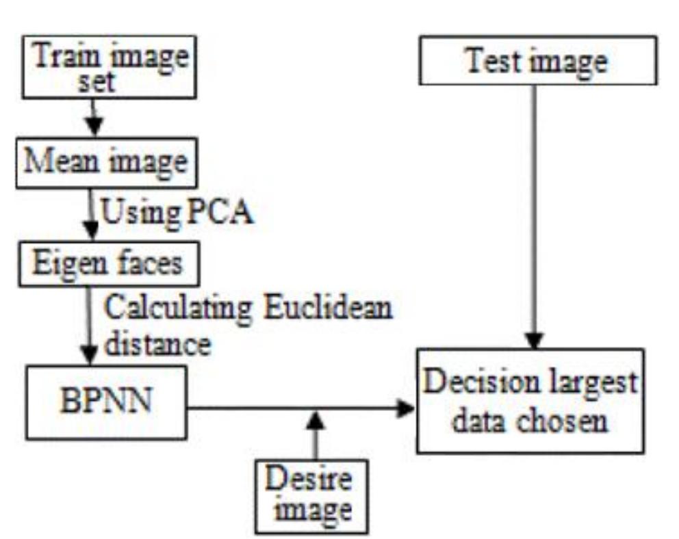 1: block diagram of complete process of pca & bpnn face