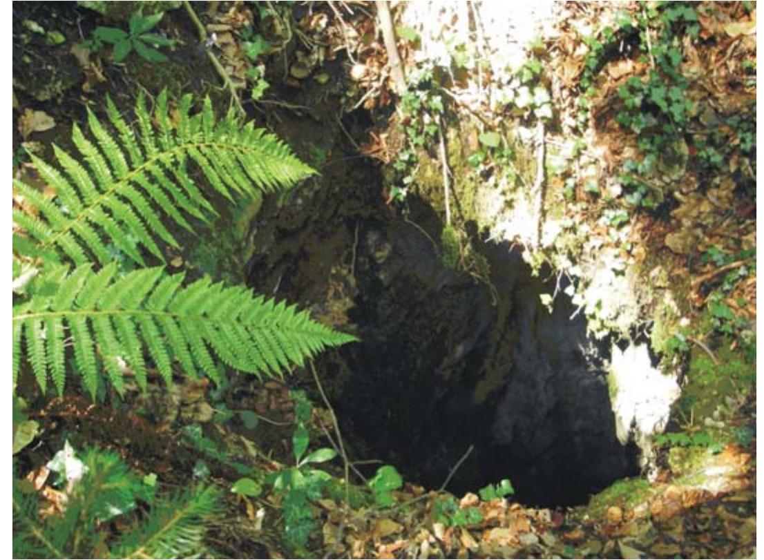 The tomagevi¢éka pit and the zidovske kuce cave were formed