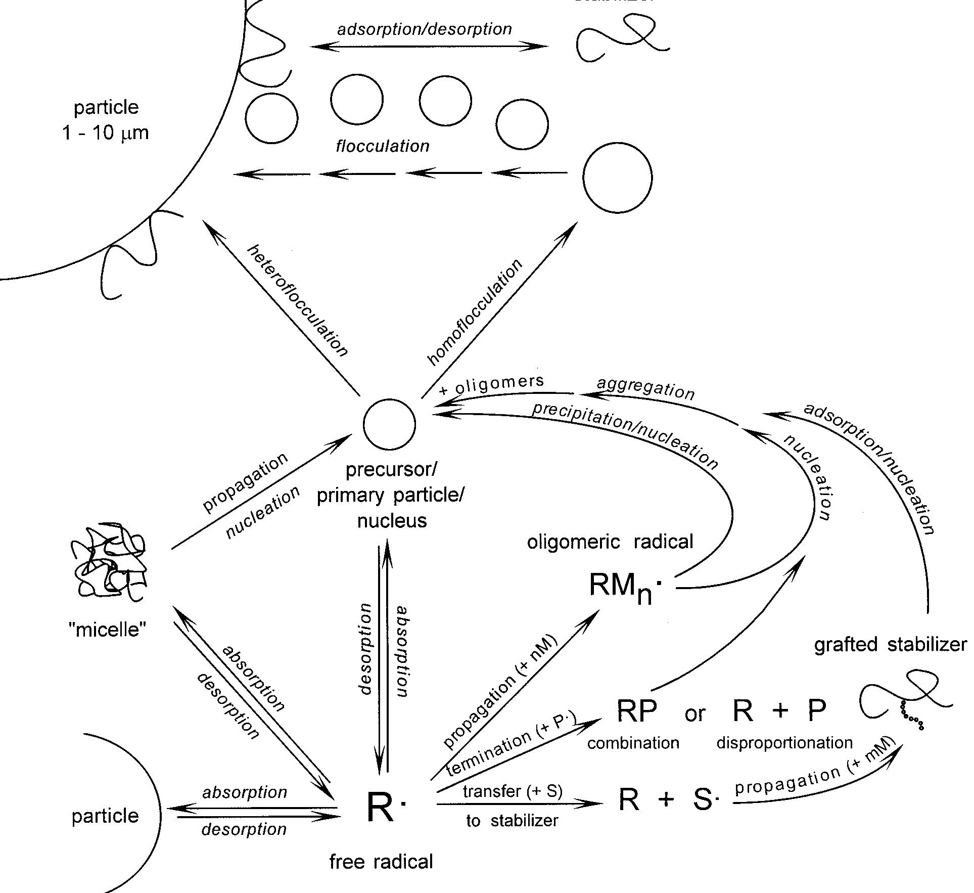 Schematic representation of mechanisms involved in free