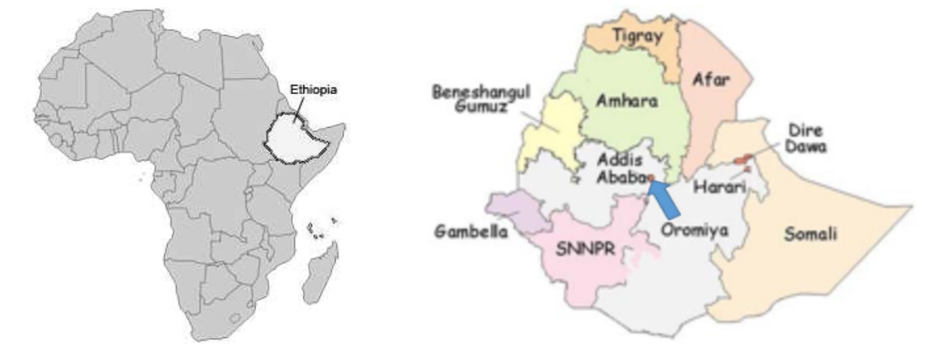 (PDF) Inner City Redevelopment and Architectural Heritage The Case of ...