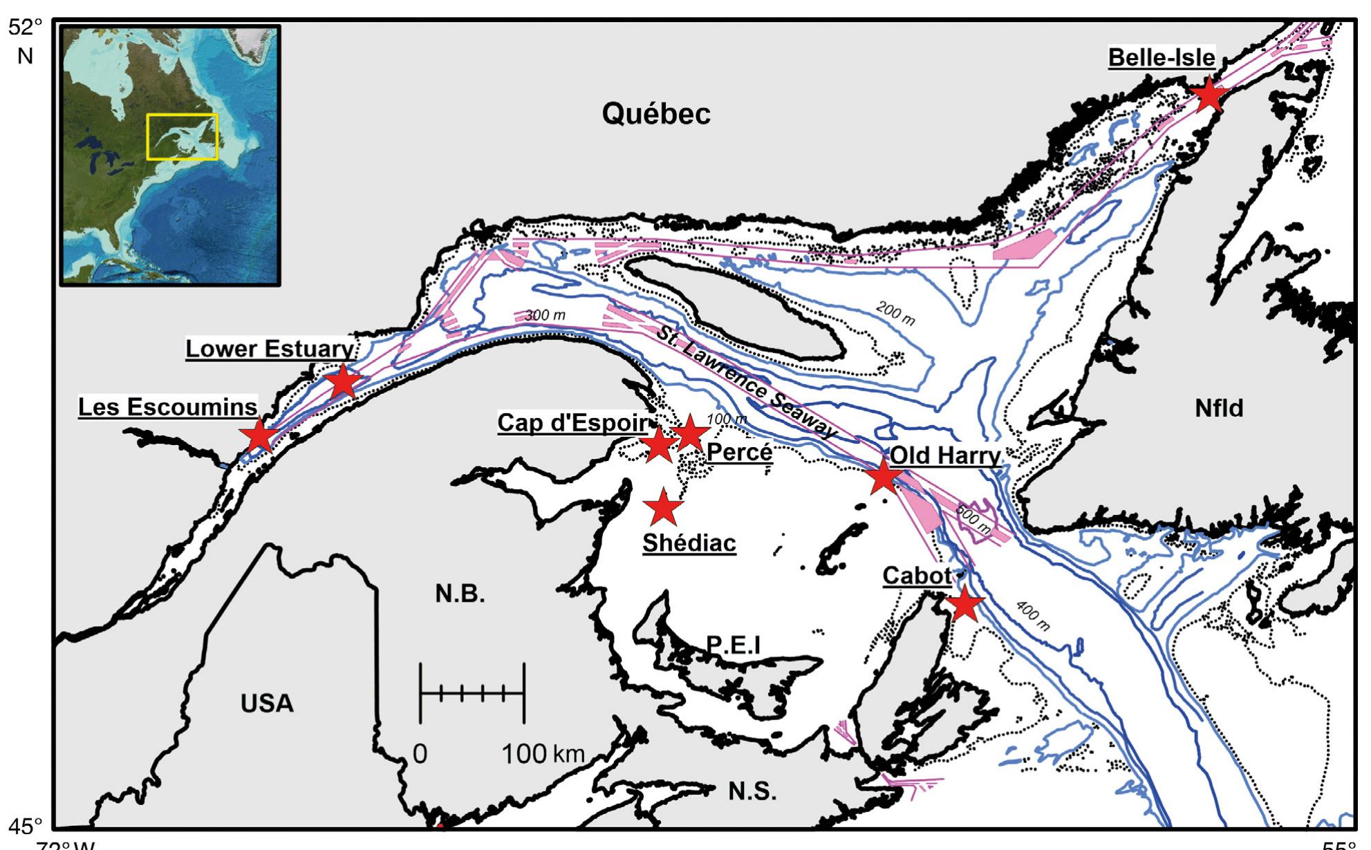 Bathymetric map of the gulf of st. lawrence showing the