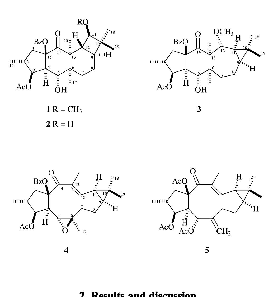 The chloroform phase of a methanol extract of the dried